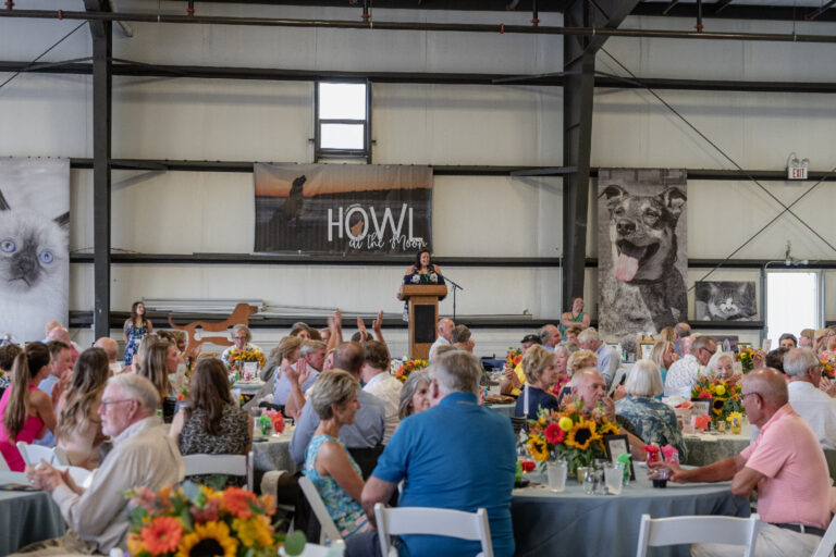 Homepage - Walstrom Marine